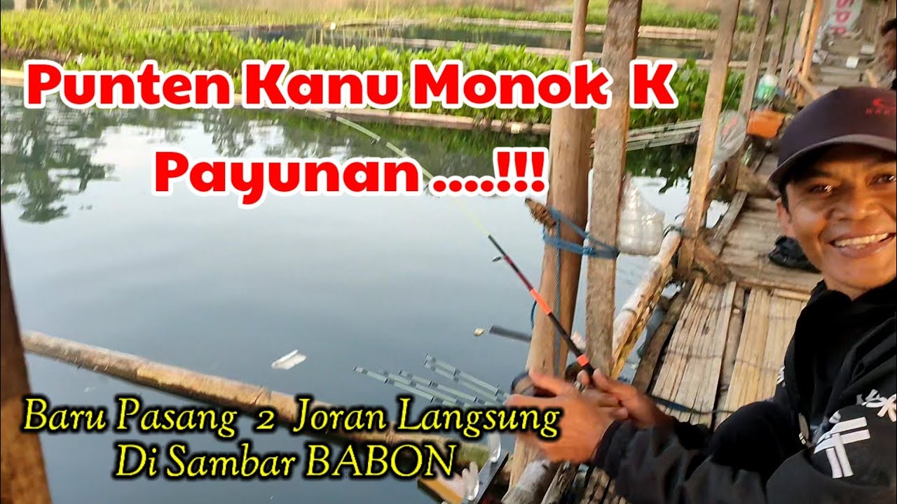 🩸Baru Pasang 2 joran langsung Di Sambar BABON# Mancing Saguling Terbaru - YouTube