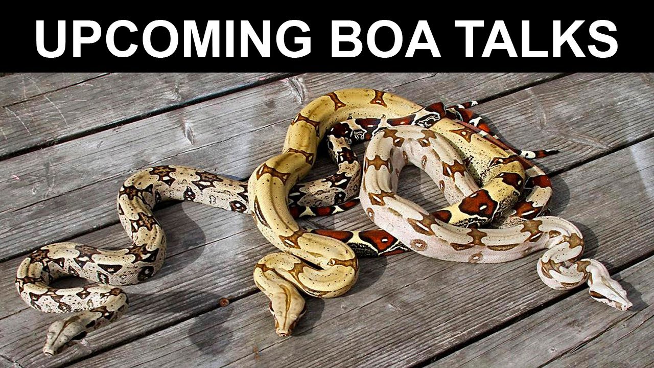 Brian Boas LIVE: Upcoming In Person Boa Presentations! - YouTube