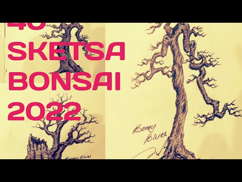 40 Inspirasi sketsa bonsai karya Benny Blues - YouTube