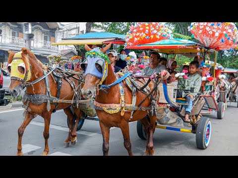 KUDA | NAIK DELMAN - NAIK KUDA | LAGU NAIK DELMAN, BALONKU ADA LIMA, ODONG-ODONG, KERETA API