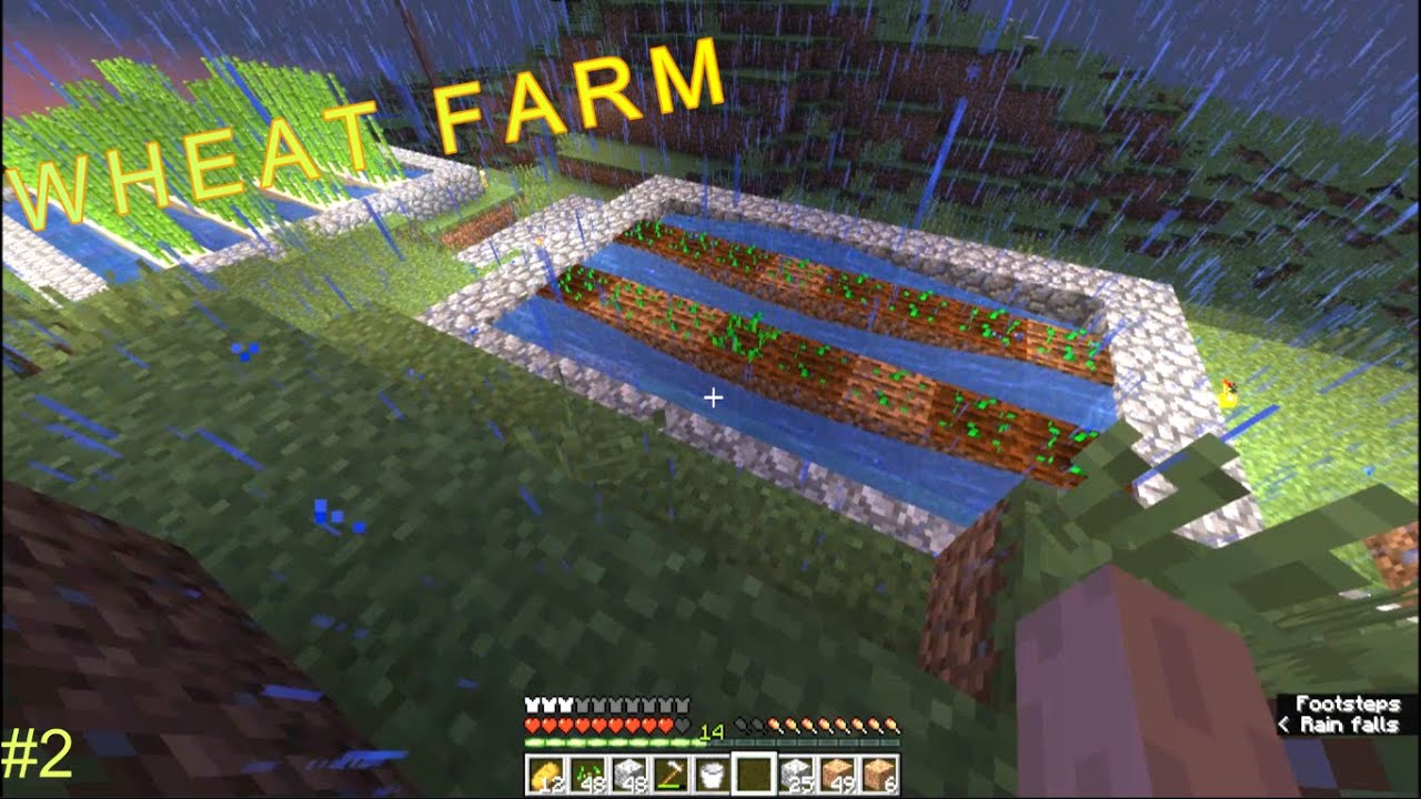Making My Small Wheat Farm |Minecraft Survival | #2 - YouTube