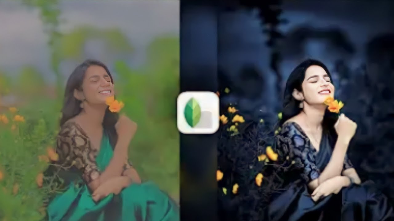 New Snapseed Background Colour Change Tricks | Snapseed Photo Editing ...