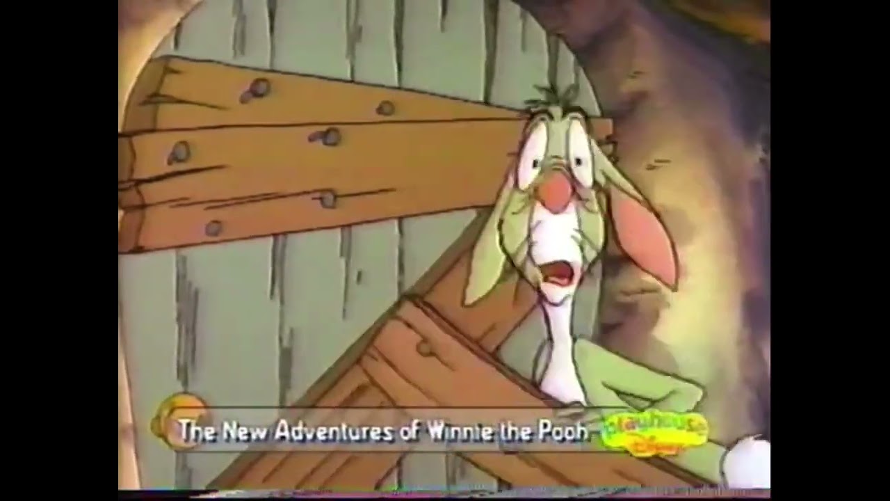 Playhouse Disney Screen Bug (The New Adventures Of Winnie The Pooh ...