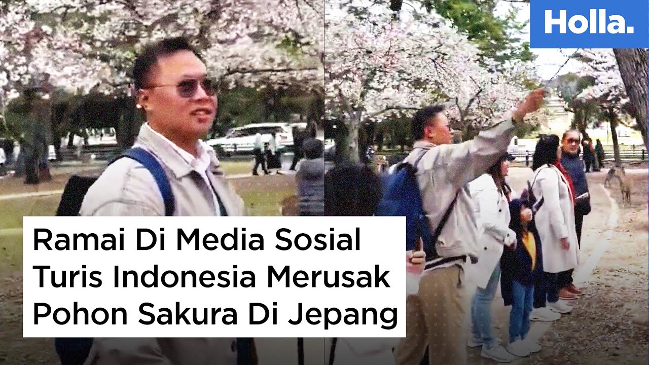 Ramai Di Media Sosial Turis Indonesia Merusak Pohon Sakura Di Jepang ...