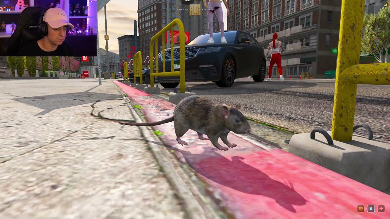 Que rato faz esse barulho kkkk - YouTube