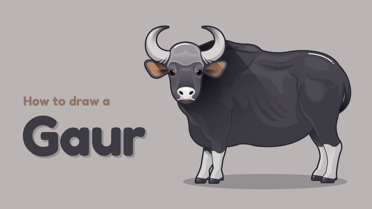 How to draw a Gaur (Indian Bison)? Easy and simple drawing | Animal ...