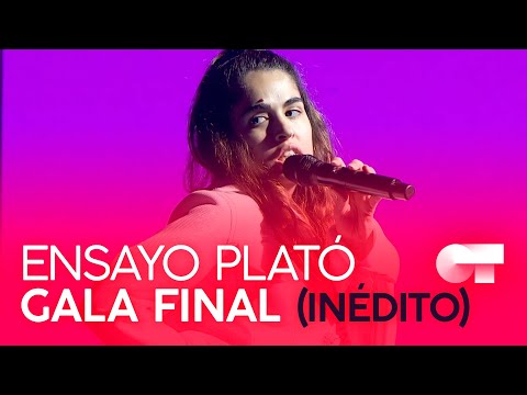 *ENSAYO INÉDITO* | \