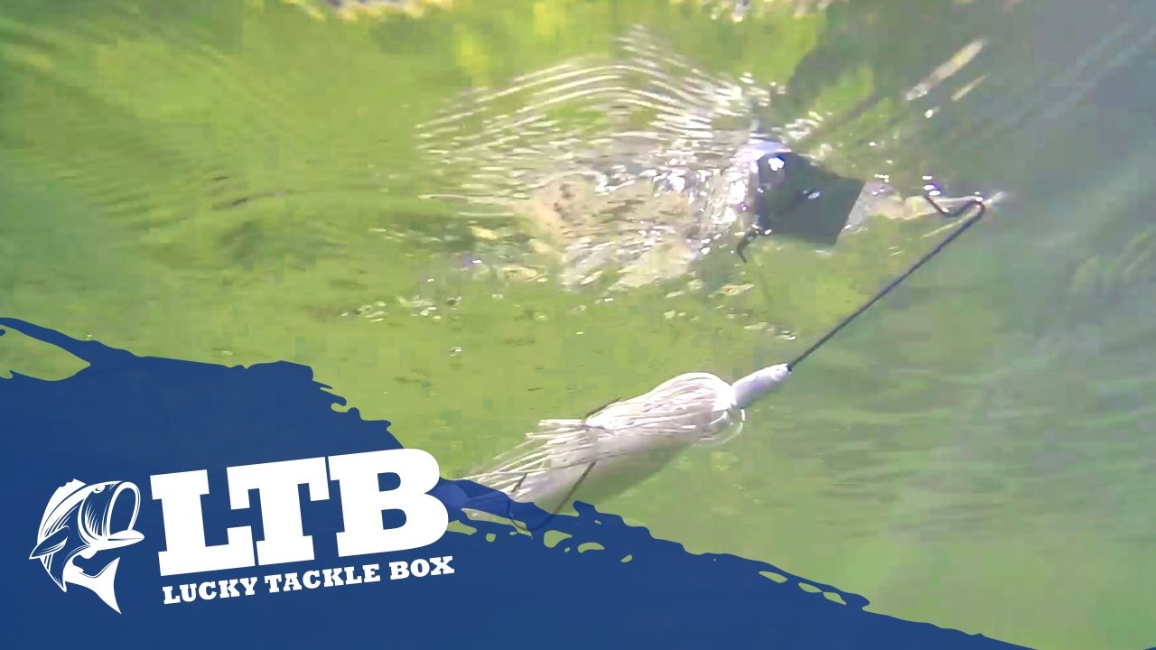 How to Fish for Spring Bass with a Buzzbait - YouTube
