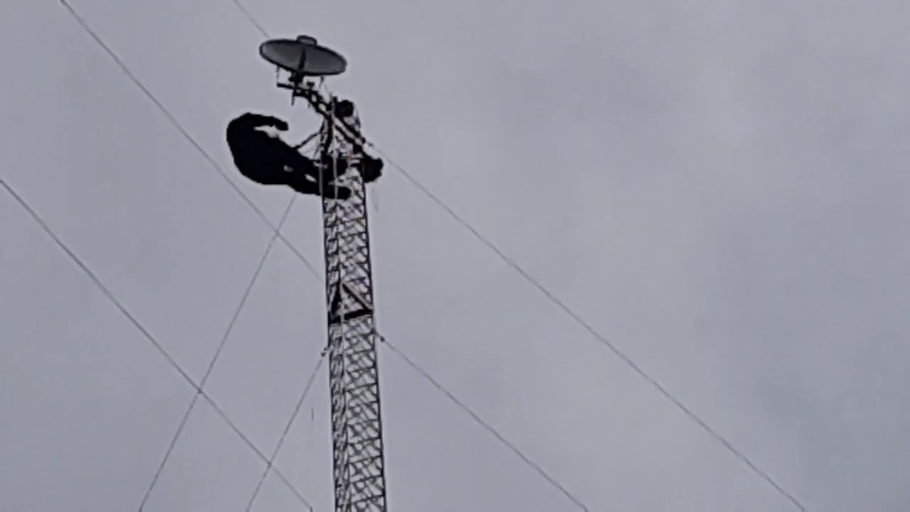 Luar Biasa | Proses Pemasangan Jaringan Internet di tower yang tinggi ...