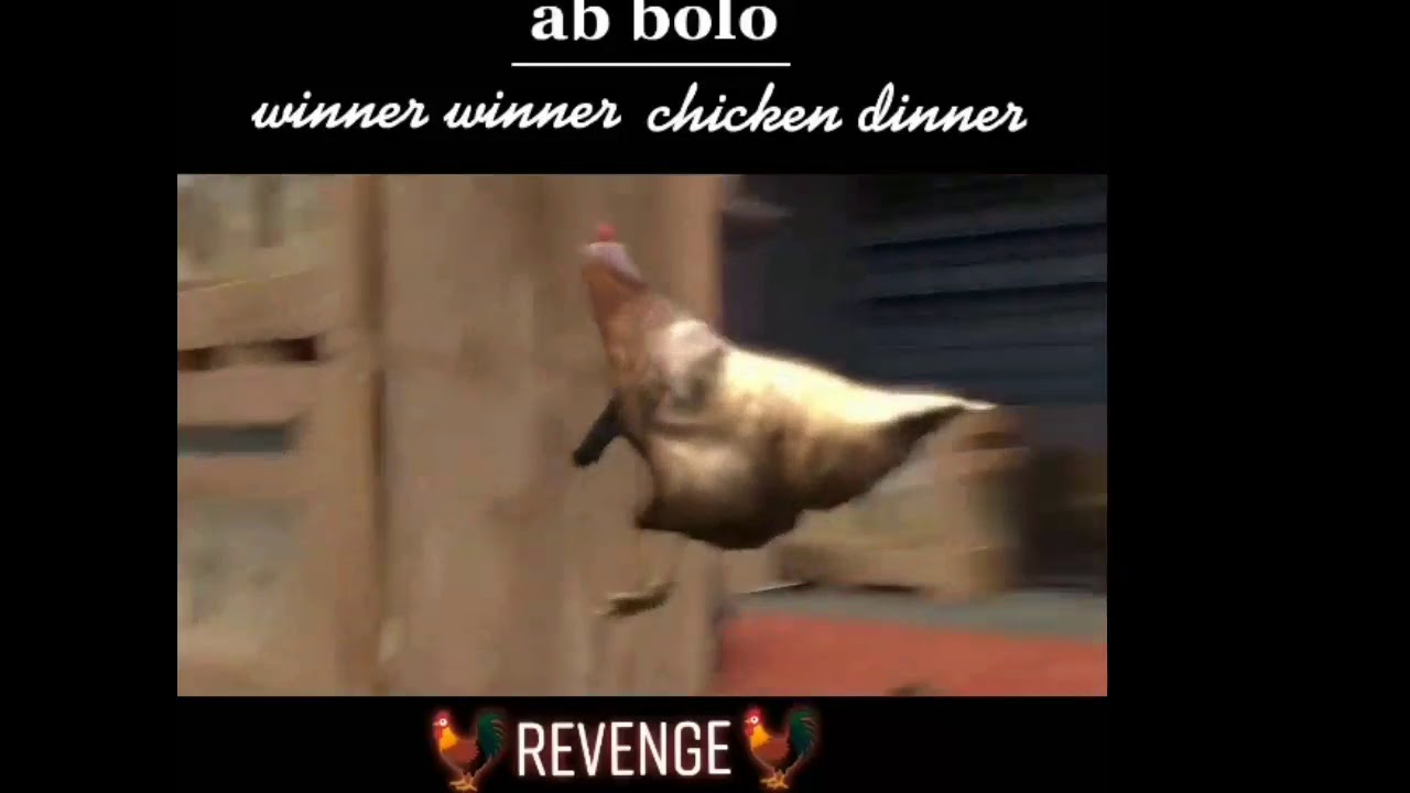 Revenge of chicken dinner ::2019 - YouTube
