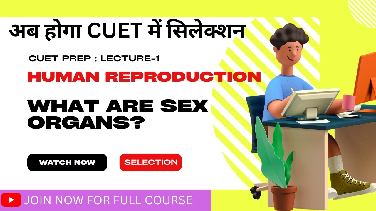 Cuet 2023 Neet Class 12 Human Reproduction What Are Sex Organs Youtube