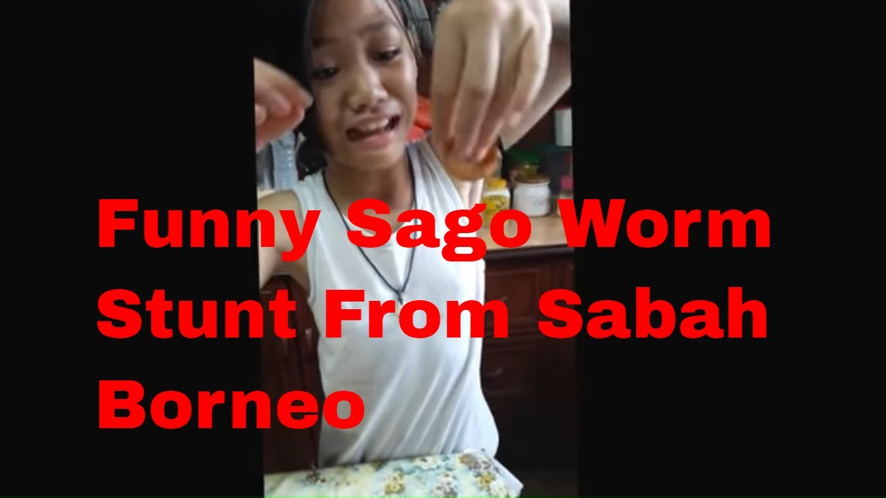 Funny Sago Worm Stunt From Sabah Borneo - YouTube