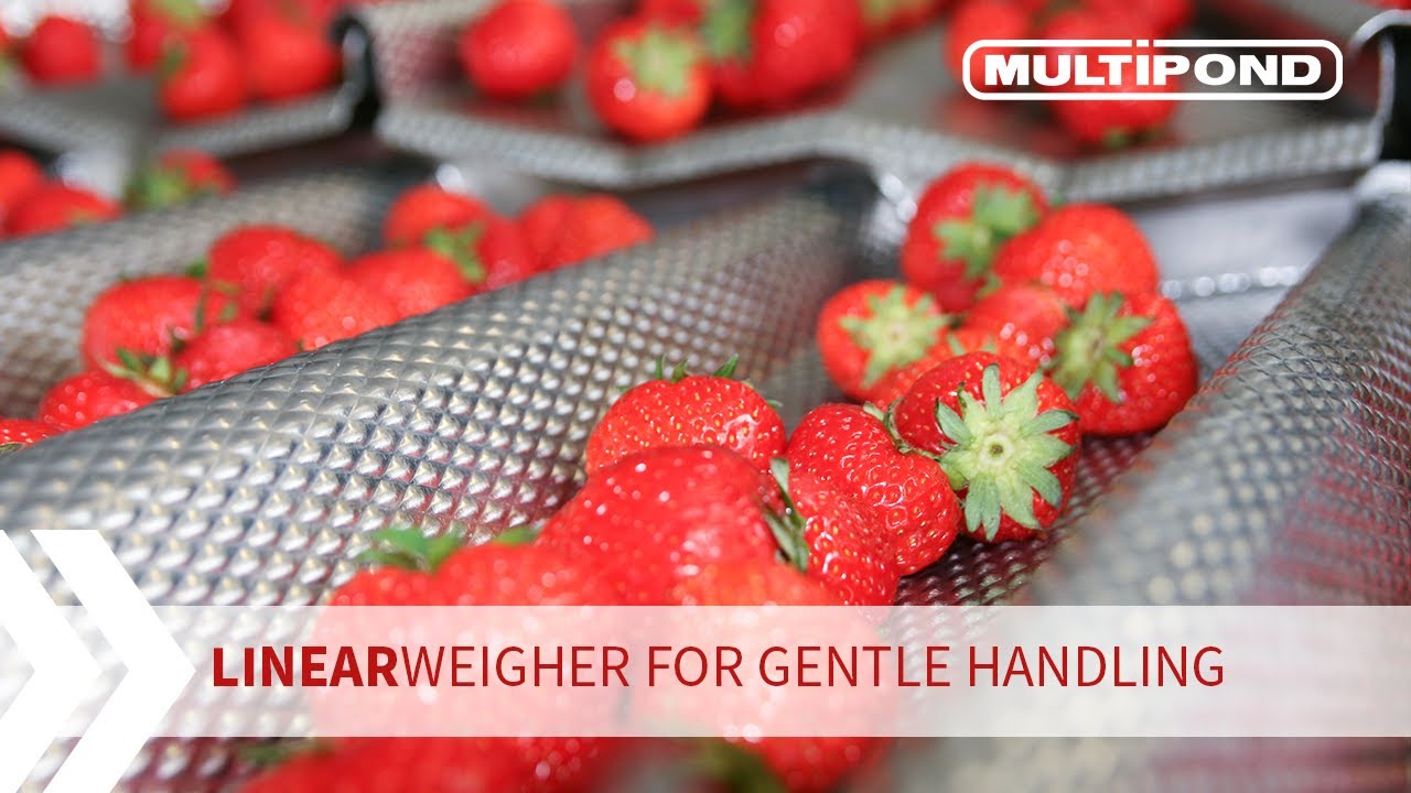 Multihead weigher | Gentle weighing of sensitive products | MULTIPOND ...