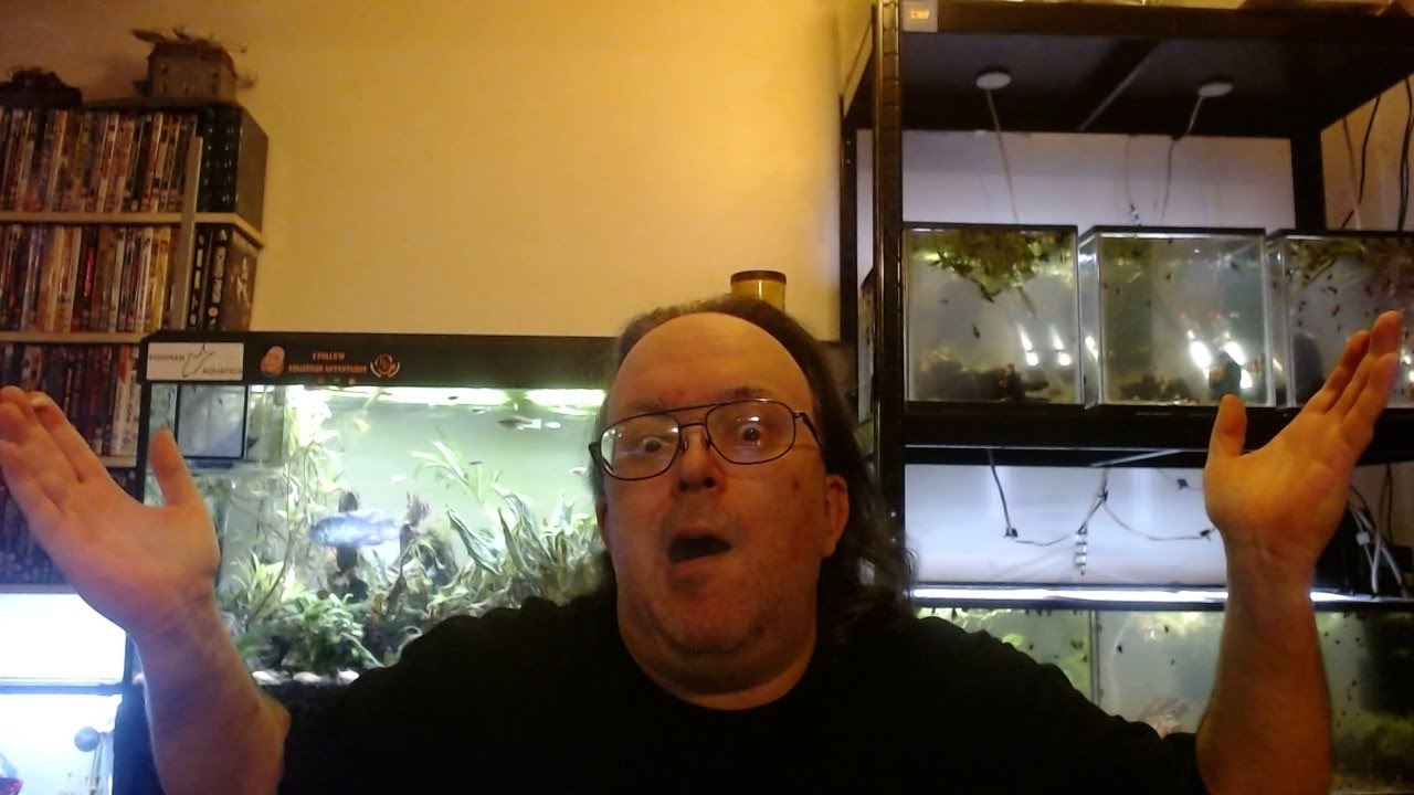 Sunday Sharpe: clocks went back today! - YouTube