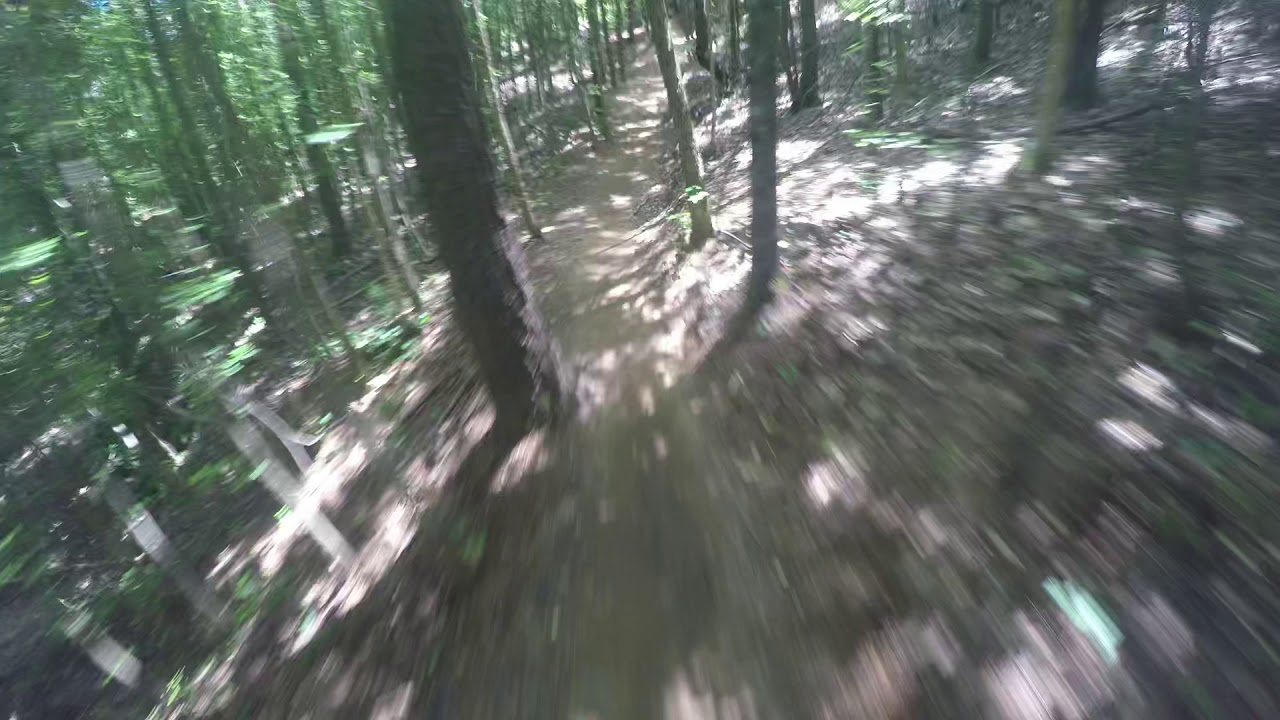 Hitting a tree - YouTube