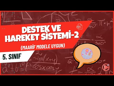 Destek ve Hareket Sistemi - 2 | 5. Sınıf Fen Bilimleri Konu Anlatımı | 2026