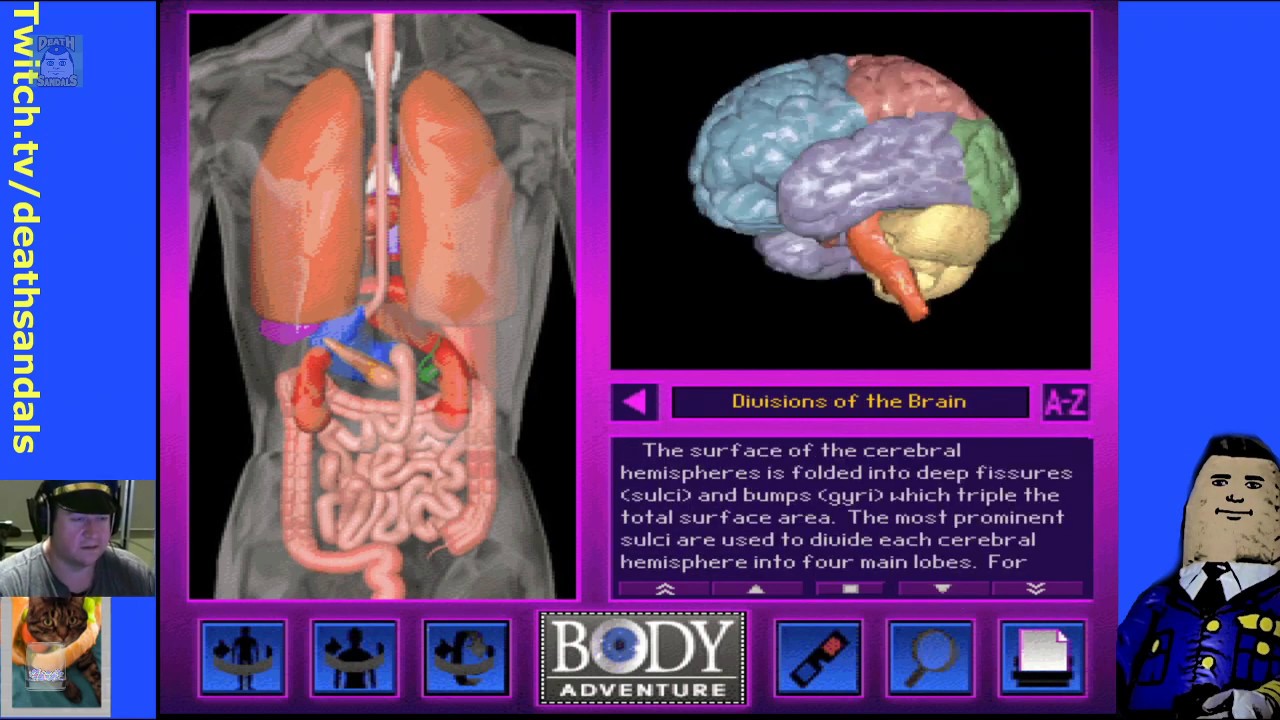 3D Body Adventure DOS Windows 3 1 My Insides Are Grotty YouTube 3d-body-adventure-dos-windows-3-1-my-insides-are-grotty-youtube