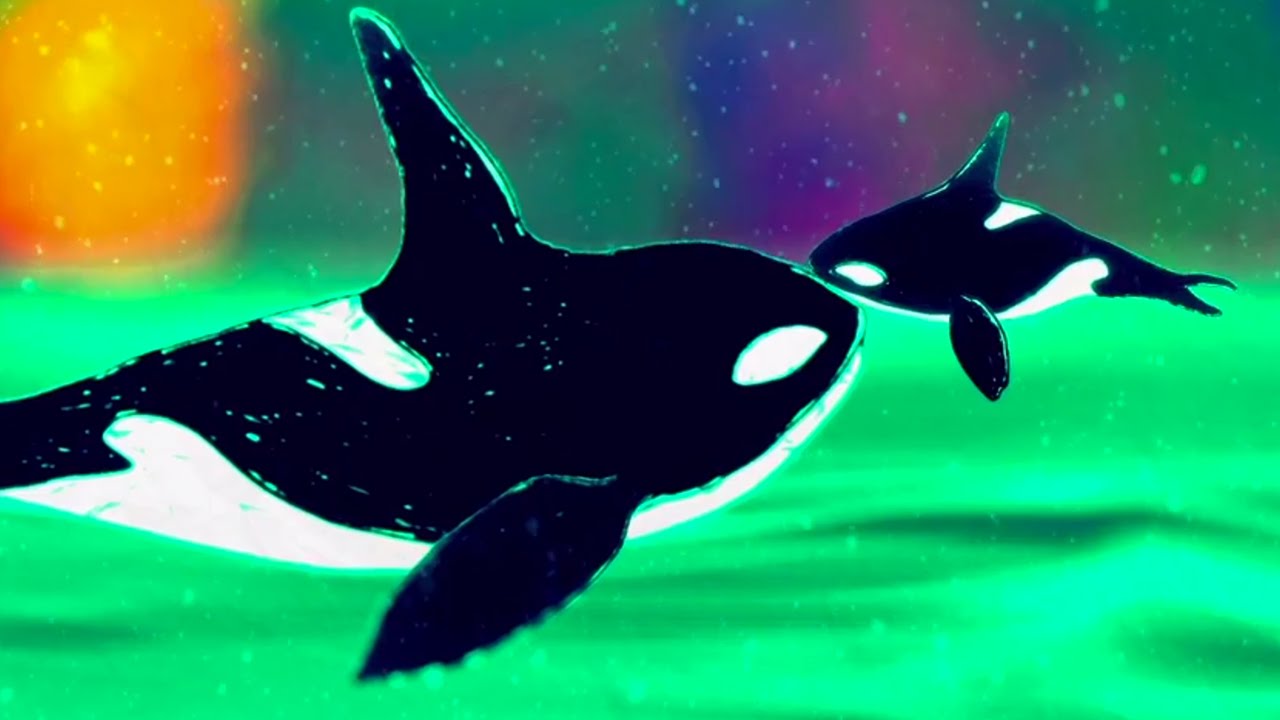 藍色 － 動畫短片 （Blue) - Short Animated Film - YouTube