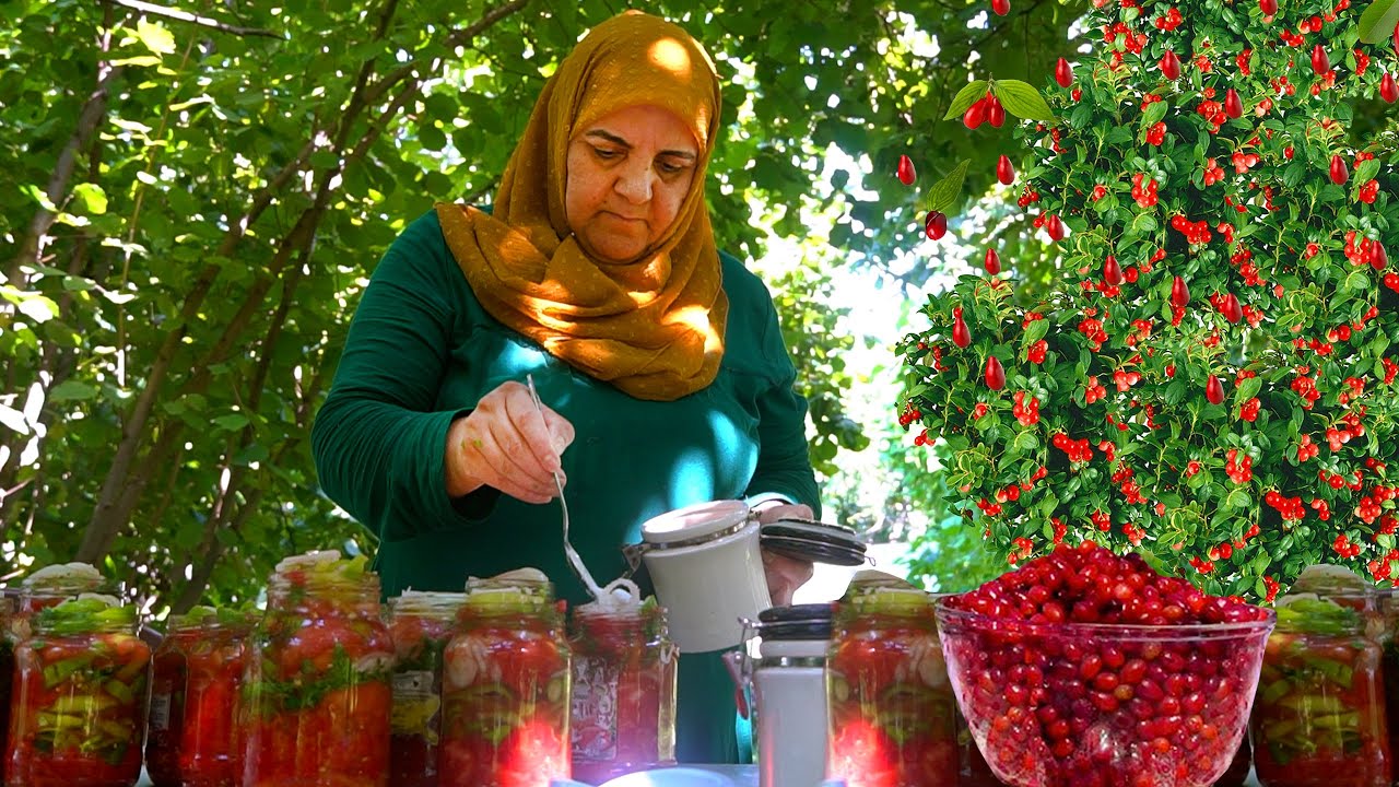 Preserving Vegetables for Winter | Cornel Jam Recipe - YouTube