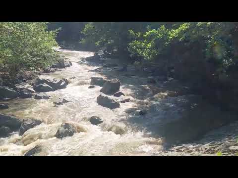 Vilash River Istisu Masalli, Azerbaijan #masalli #nature #azerbaijan #asmr 