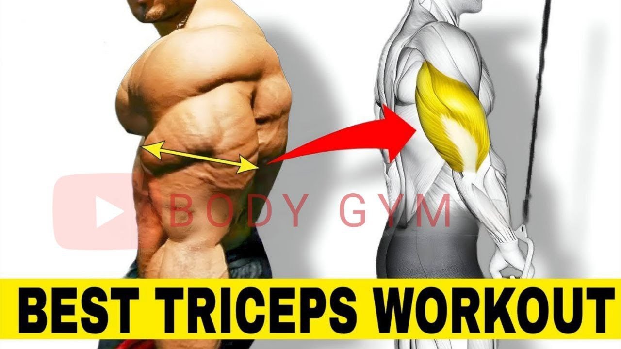 6 Tricep Exercises for MASSIVE Arms | Triceps Workout At Gym | Bigger ...