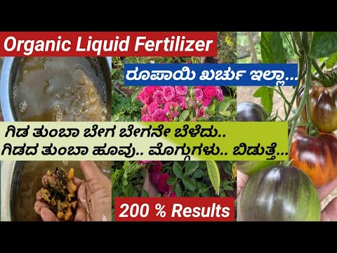 How to make Liquid fertilizer for Plants/Growth Boost Liquid fertilizer ...
