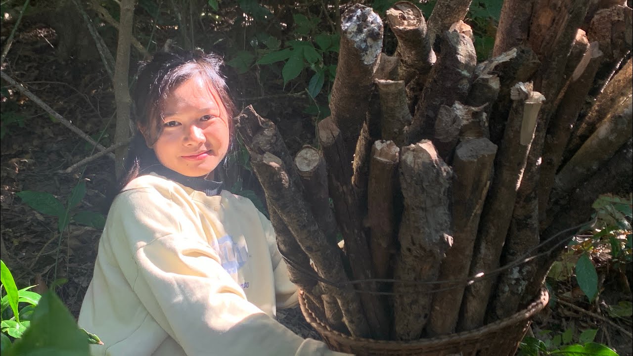 Nula Thingphur || Goal keeper thiam David - YouTube