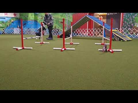 180 Pan Jump Grid - Day #1 Set #2 introduce simple 3-jump grid low ...
