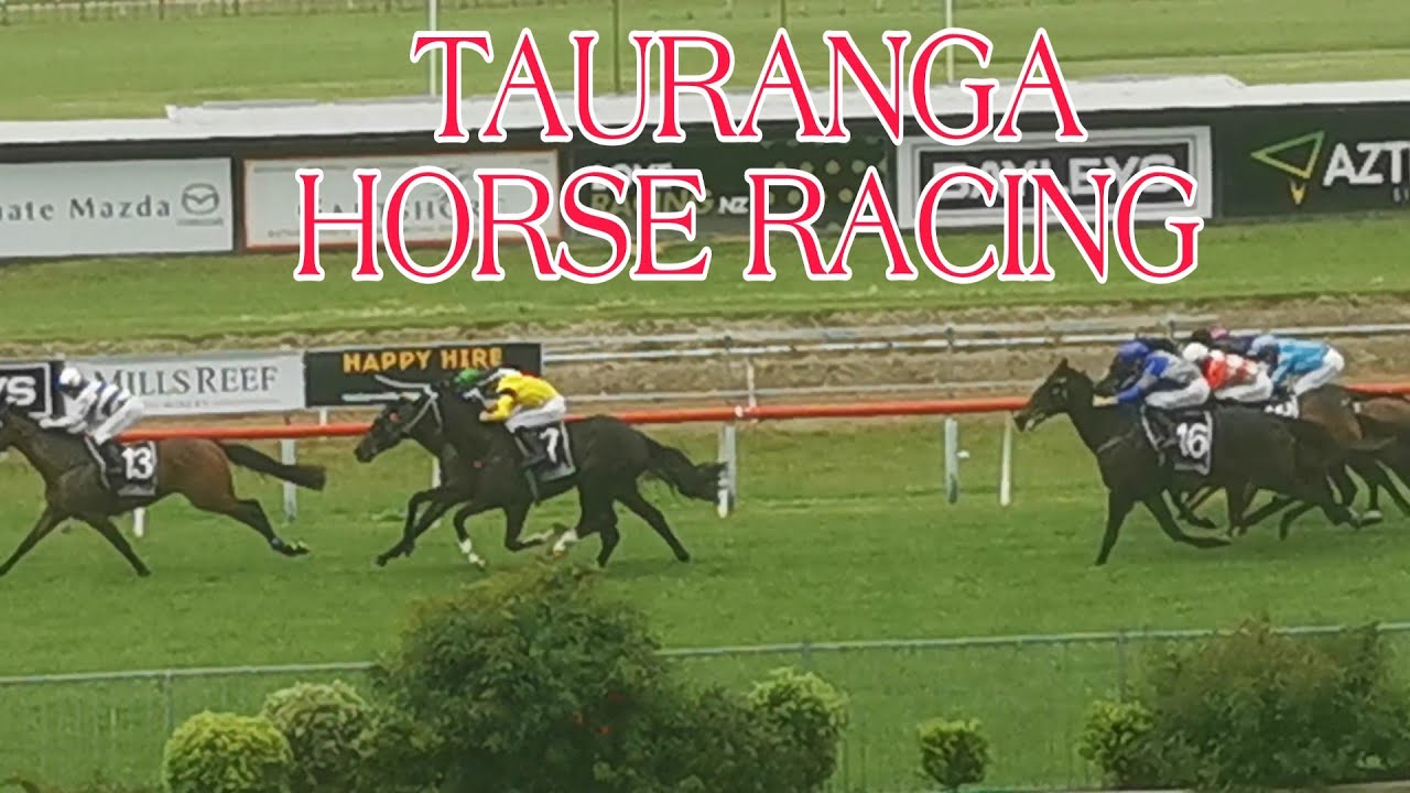 HORSE RACE IN TAURANGA RACING - YouTube