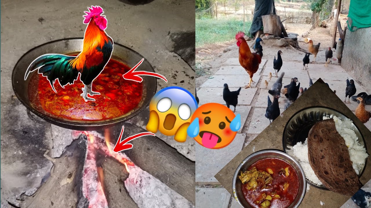 Village Style Deshi Murga Cooking 🔪 With Recipe 🥵#mh15kingvlogger - YouTube