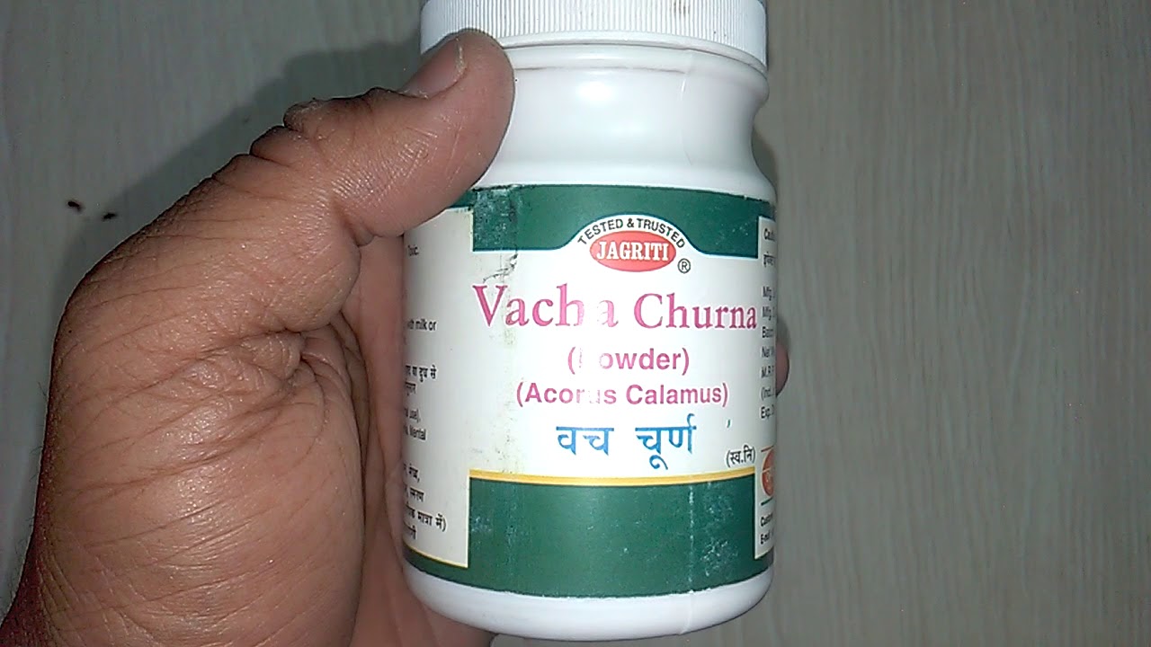 Vacha Churna review वच चूर्ण मानसिक रोग, हकलाहट को करे जड़ से खत्म ...