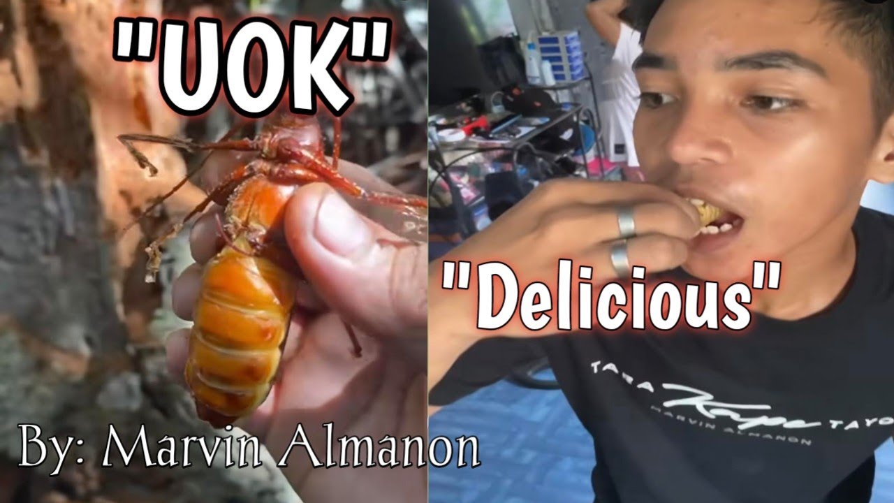Exotic Food in the Philippines we call it “UOK” - YouTube