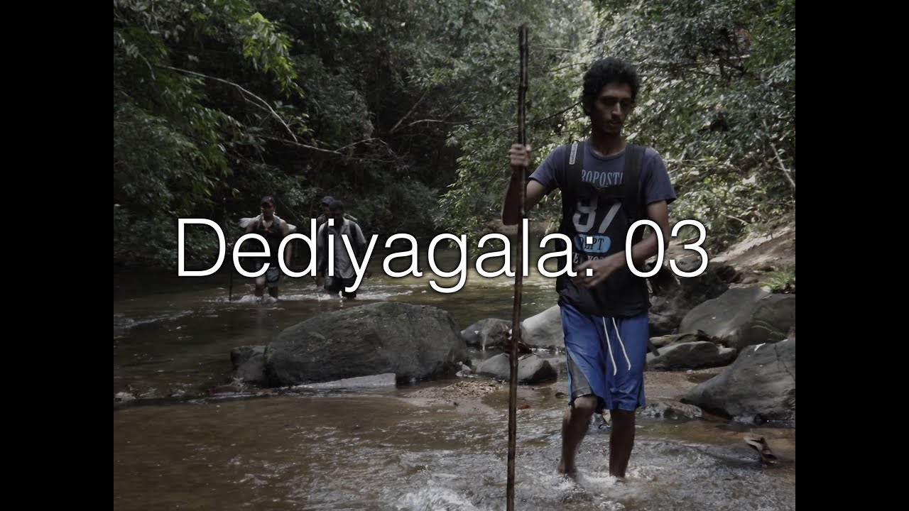 Dediyagala Forest Reserve - Documentary 03 - YouTube