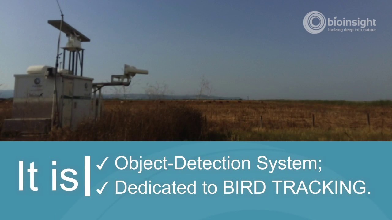 M.A.R.S. - Merlin Avian Radar System - YouTube