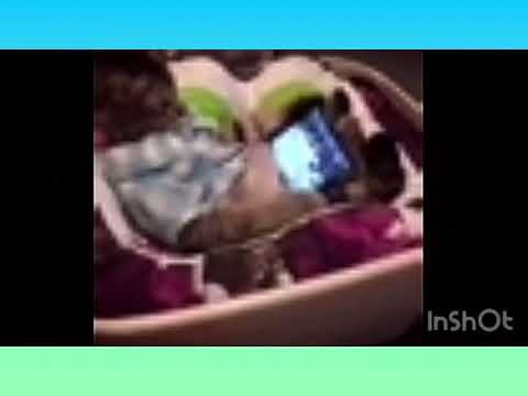 Kedileri bile telefon manyağı yapmışız