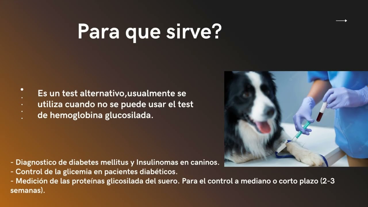 Fructosamina y hemoglobina glicosilada - YouTube