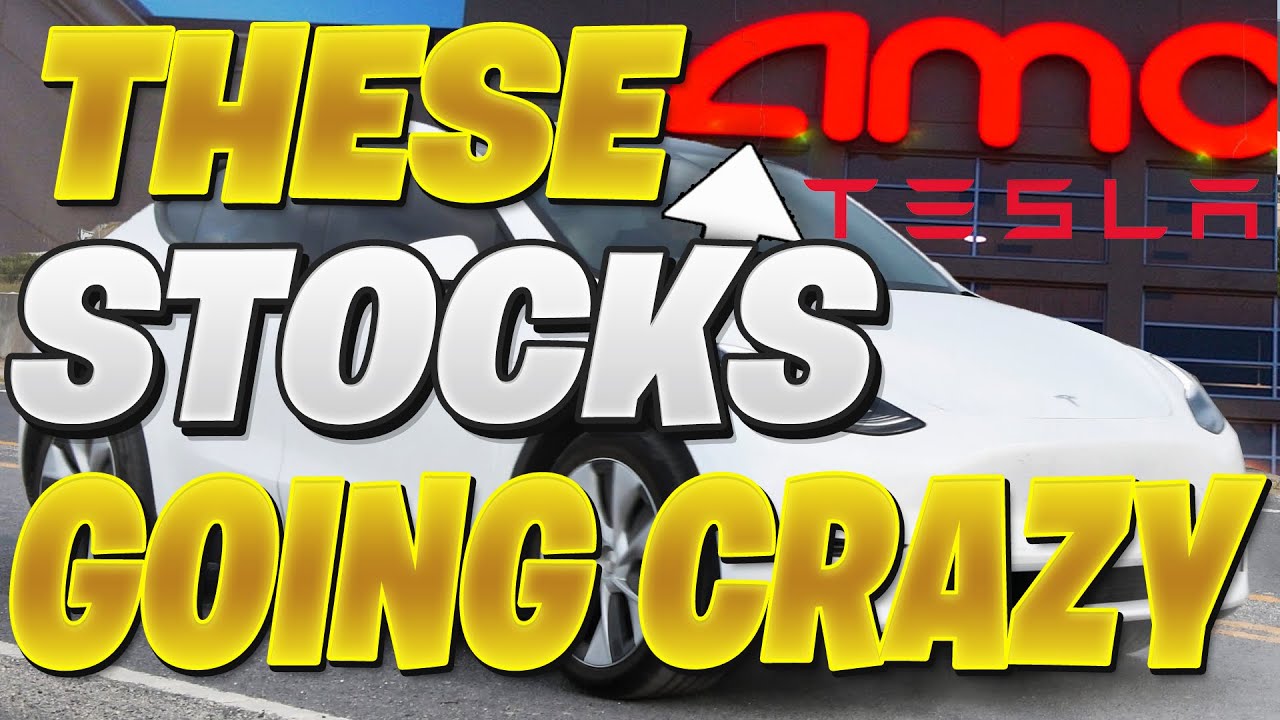 THESE STOCKS ARE GOING CRAZY | AMC & TESLA SHORT SQUEEZE? - YouTube