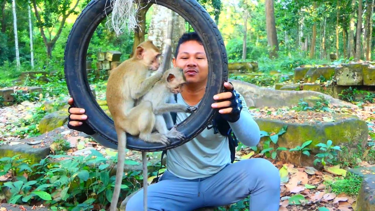 Welcome video 9th December I make monkeys happy Dawn Carlo Dora and everyone here happy with me ...