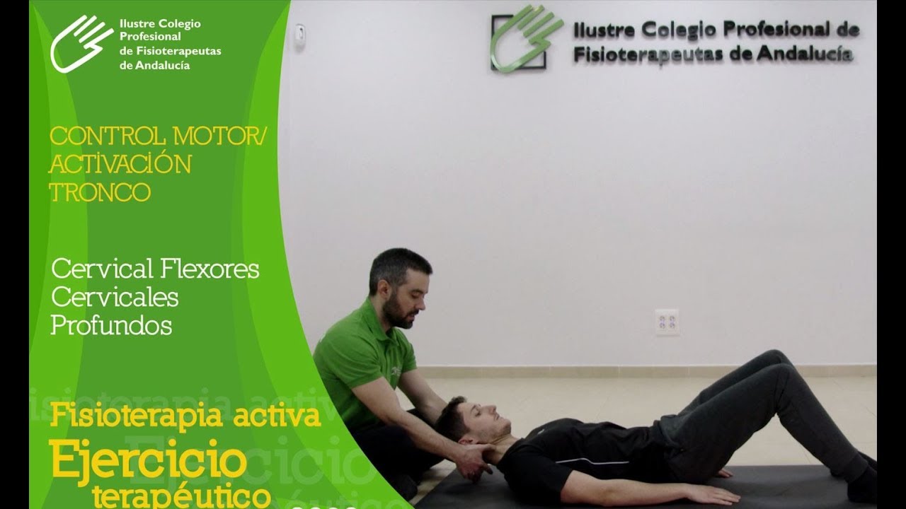 FISIOTERAPIA ACTIVA. Control Motor Activación Tronco (Cervical flexores ...