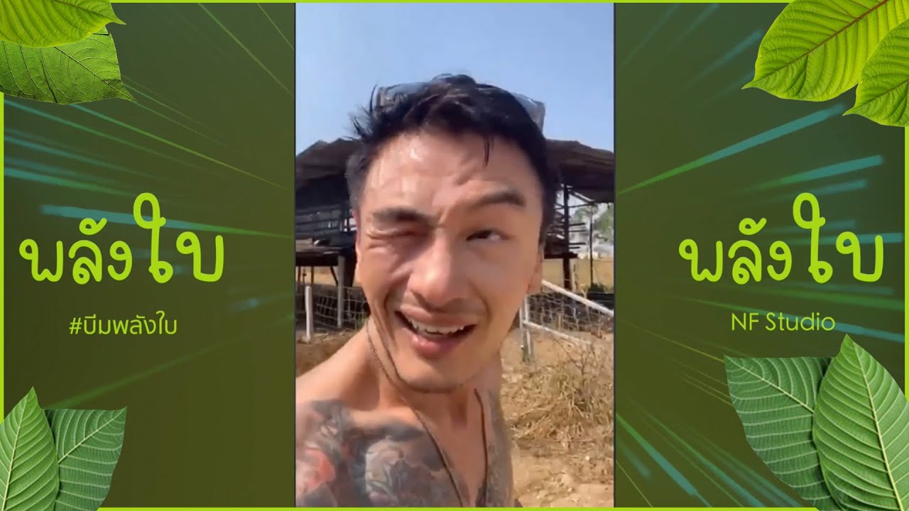 พลังใบ - บีม ศรัณยู ( NF Studio remix ) [OFFICIAL MV] - YouTube