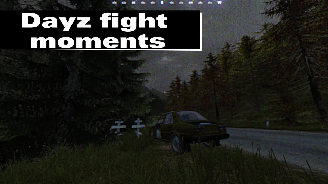 DAYZ/FIGHT/TEAM FIGHT - YouTube