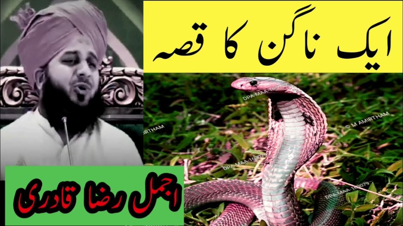 Maldar Shakhs Aur Ek Nagin Ka Waqia | peer ajmal raza qadri - YouTube