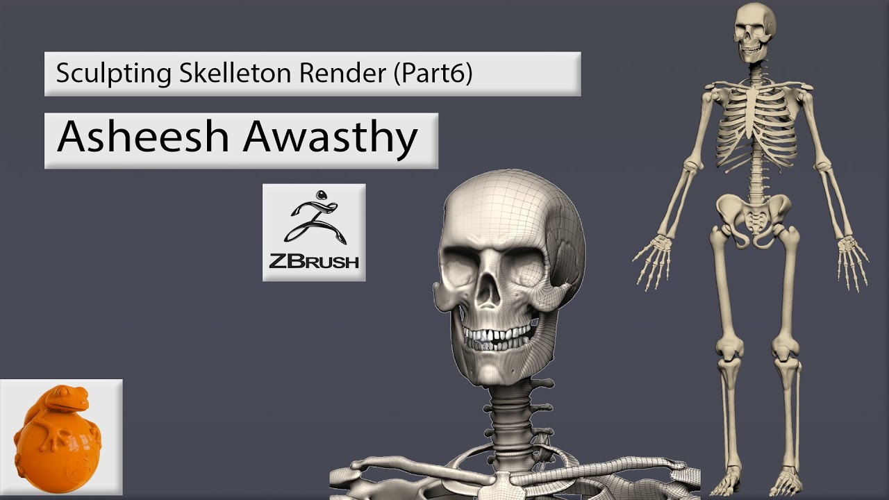 Sculpting Skeleton Final Render in Zbrush _ (part 6) Anatomy Study Ep-8 ...