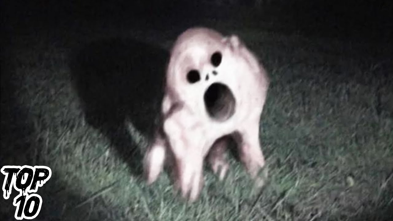 Top 10 Scary Washington State Urban Legends - YouTube