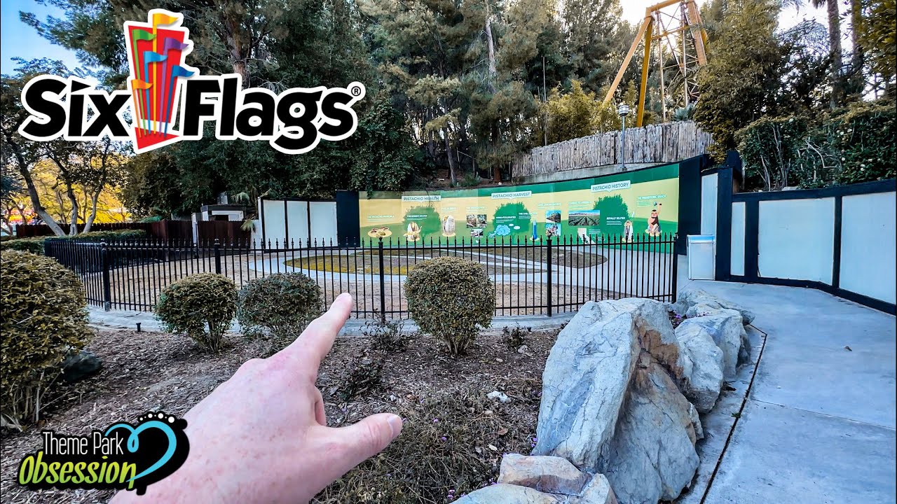 More New Projects at Six Flags Magic Mountain! Crowds, Updates & More ...