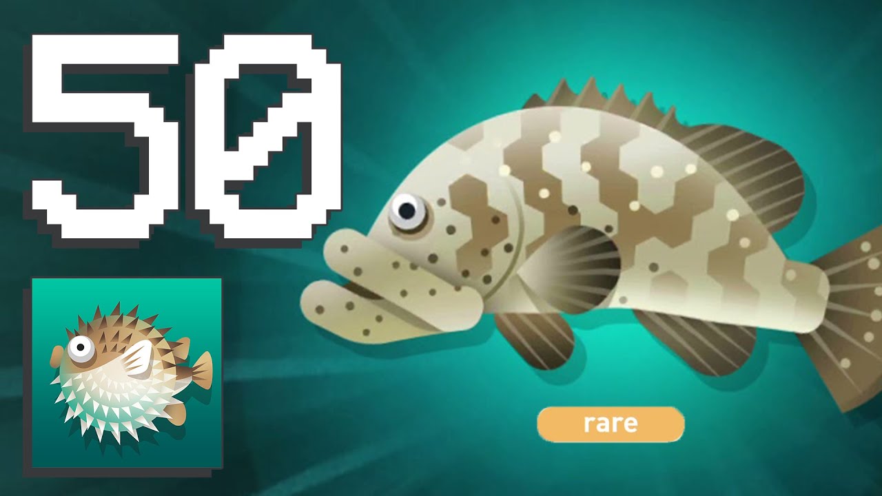 Creatures of the Deep - QUEENSLAND GROUPER (rare) - AUSTRALIA - PART 50 ...