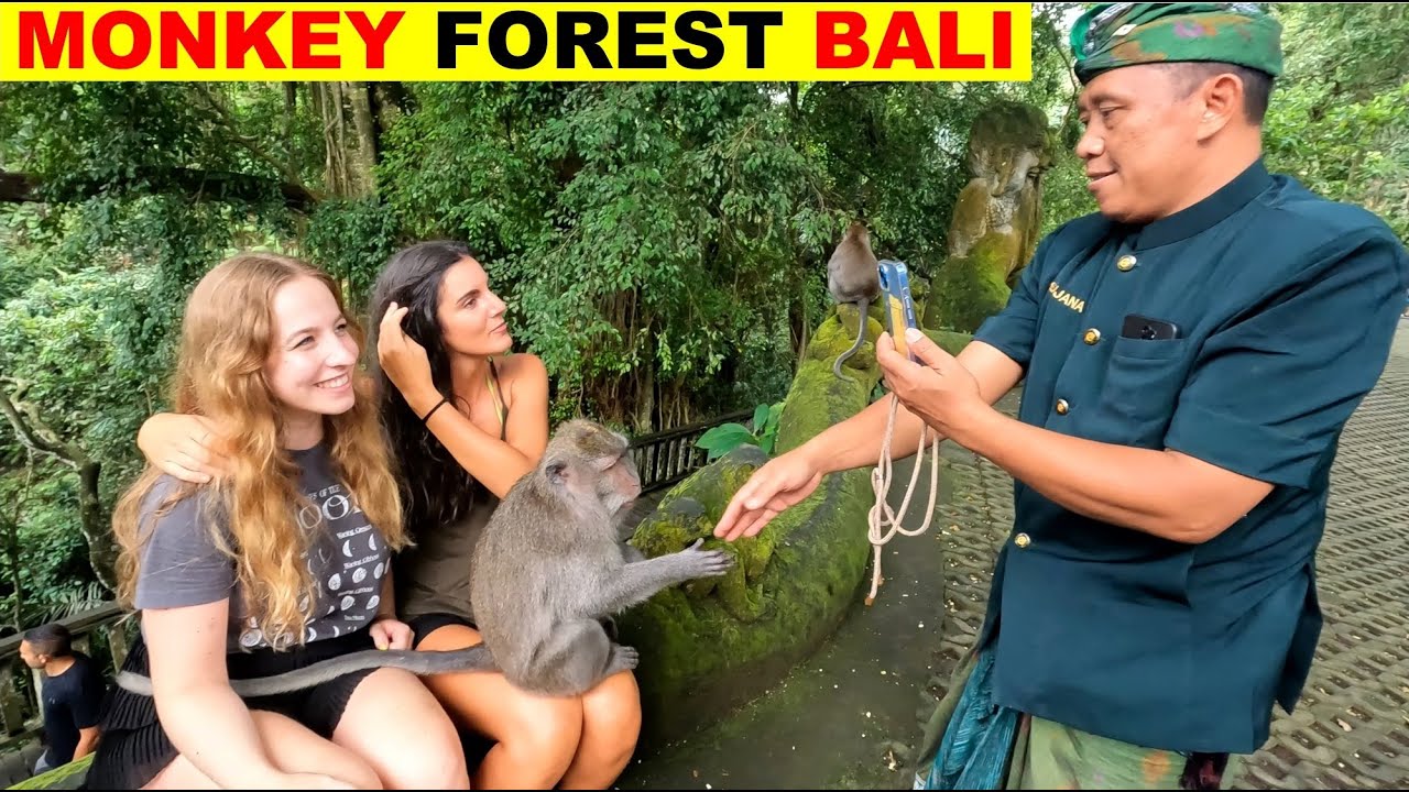 Monkey Forest Bali Indonesia - YouTube