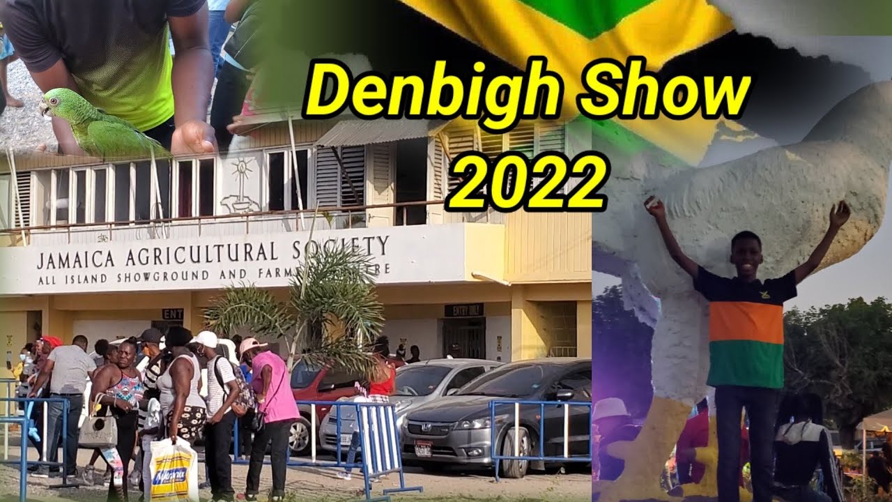 Vlog//Denbigh Agricultural Show 2022 - YouTube