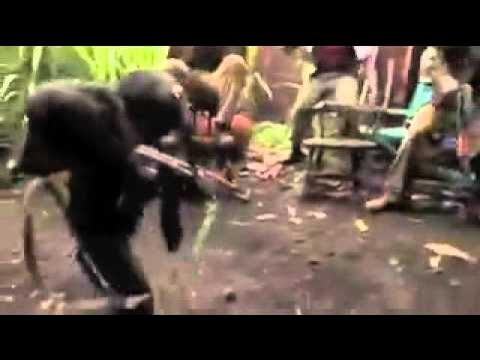 Como mono con navaja - YouTube