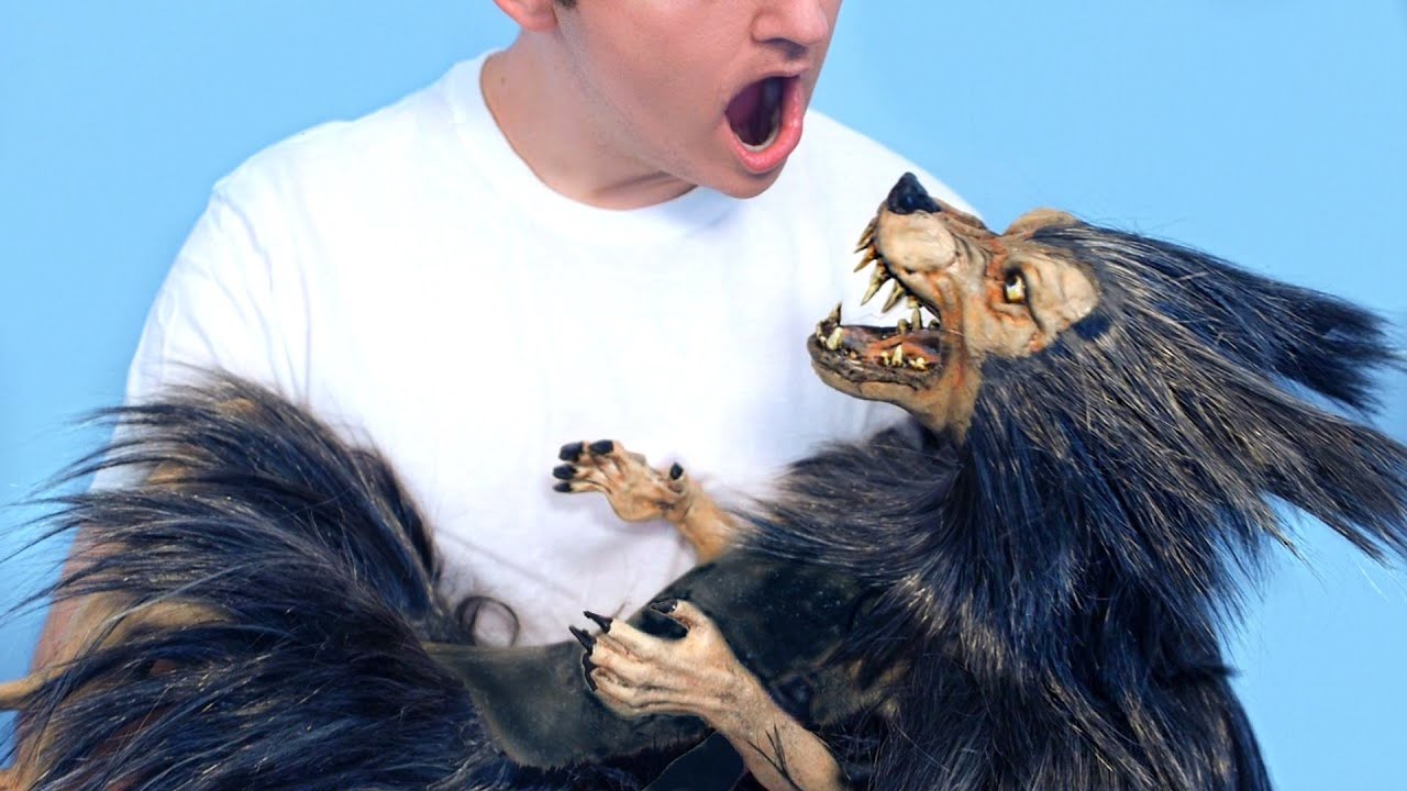 BABY WEREWOLF FOUND! - YouTube